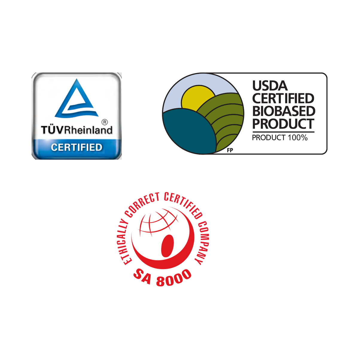 4" Square Plates, 25 pack or 100 case | Greenovation - Eco dinnerware